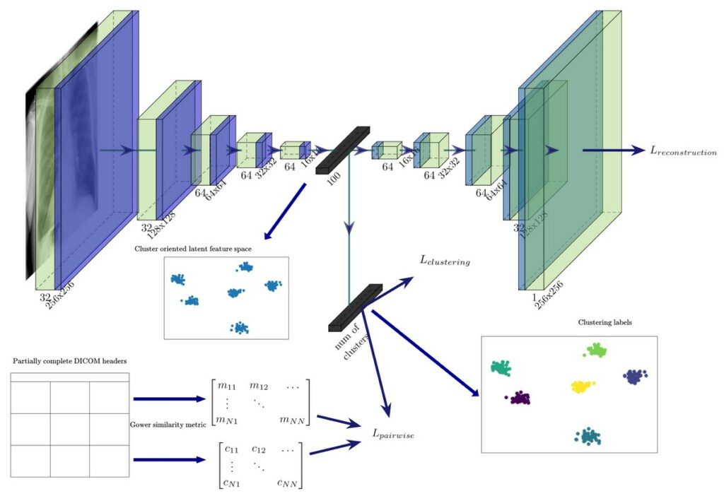 Deep Semi Supervised Algorithm For Learning Cluster Oriented Representations Of Medical Images